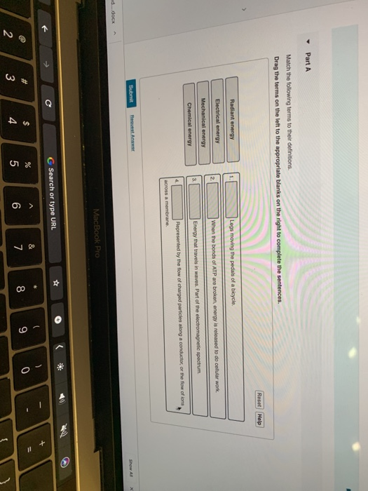 Solved CO Part A Match the following terms to their | Chegg.com