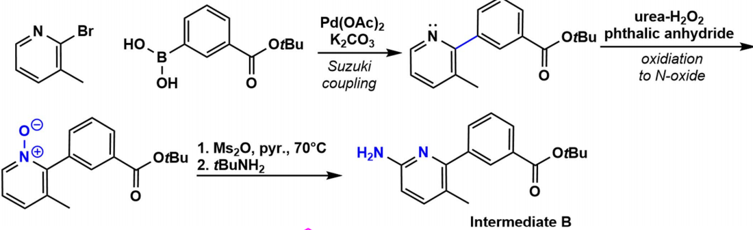 Solved N Br НО. OtBu Pd(OAc)2 K2CO3 Suzuki coupling | Chegg.com
