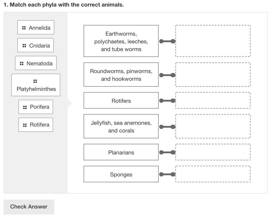 Solved 1. Match each phyla with the correct animals. :: | Chegg.com