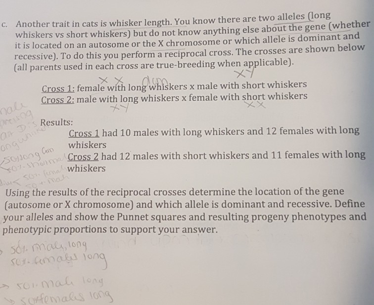 Solved Need help on the basics of the reciprocal cross. I am | Chegg.com