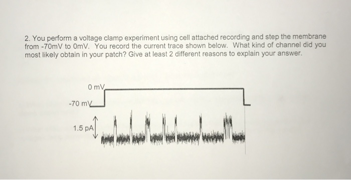 Solved 2. You perform a voltage clamp experiment using cell | Chegg.com