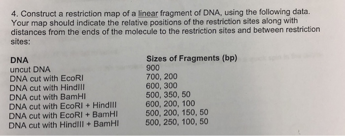 Solved 4. Construct a restriction map of a linear fragment | Chegg.com