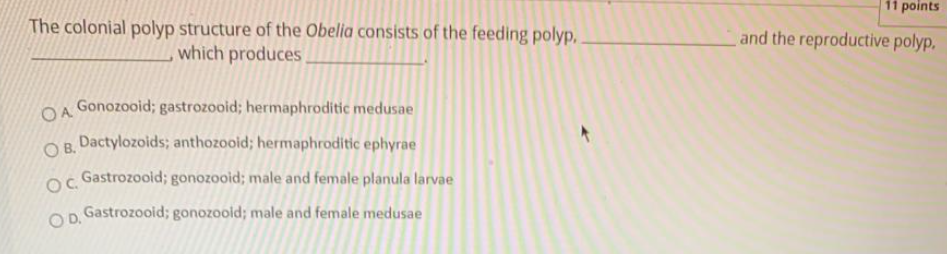 Solved 11 points The colonial polyp structure of the Obelia | Chegg.com