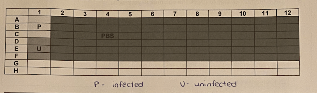Solved Figure 2: lgA,lgE, and lgE plate layout 100μL of IgA | Chegg.com
