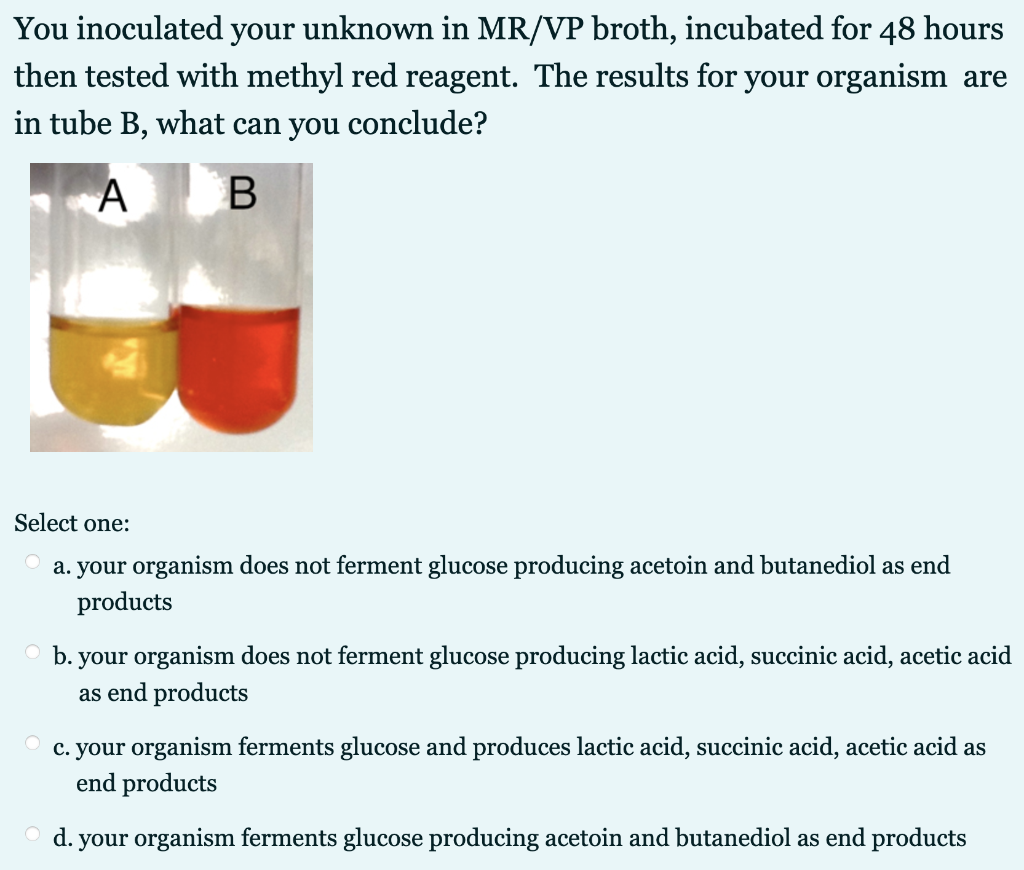 Solved You inoculated your unknown in MR/VP broth, incubated | Chegg.com
