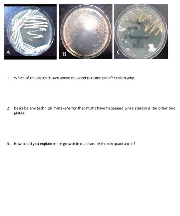 Solved 1. Which of the plates shown above is a good | Chegg.com