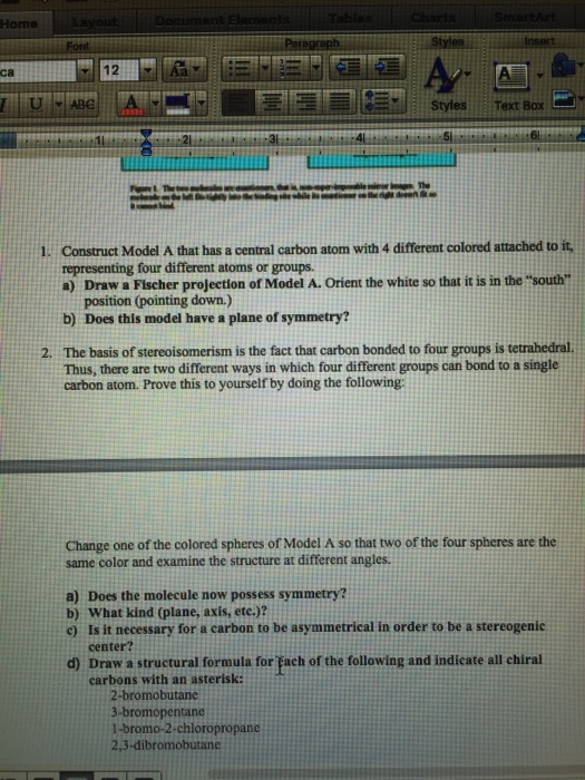 Solved New Roman 12 CHEM 1406 Molecular Models Part II | Chegg.com