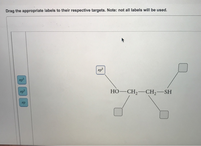 Solved Drag the appropriate labels to their respective | Chegg.com
