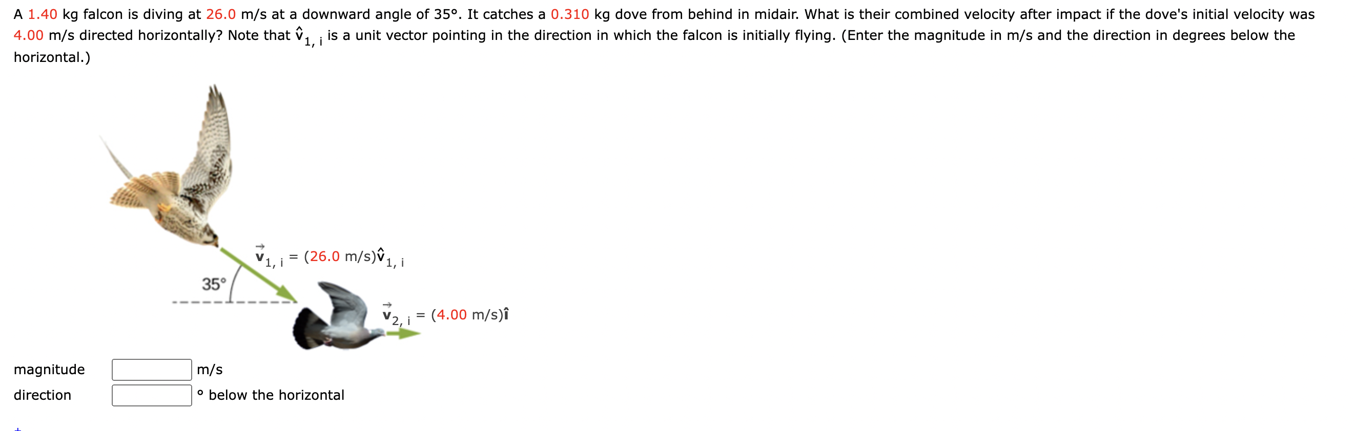 Solved horizontal.) magnitude direction m/s - below the | Chegg.com