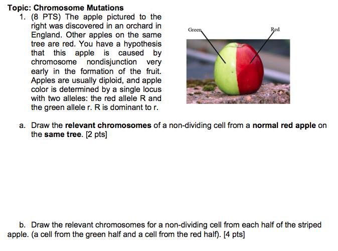 Solved Topic: Chromosome Mutations 1. (8 PTS) The apple | Chegg.com