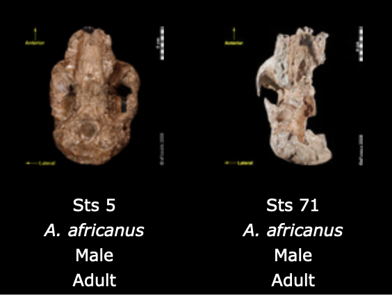 Solved What do you notice about the position of the | Chegg.com