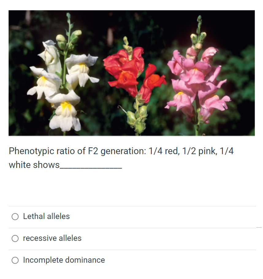 Solved 1. During meiosis, chromosome number reduction takes | Chegg.com