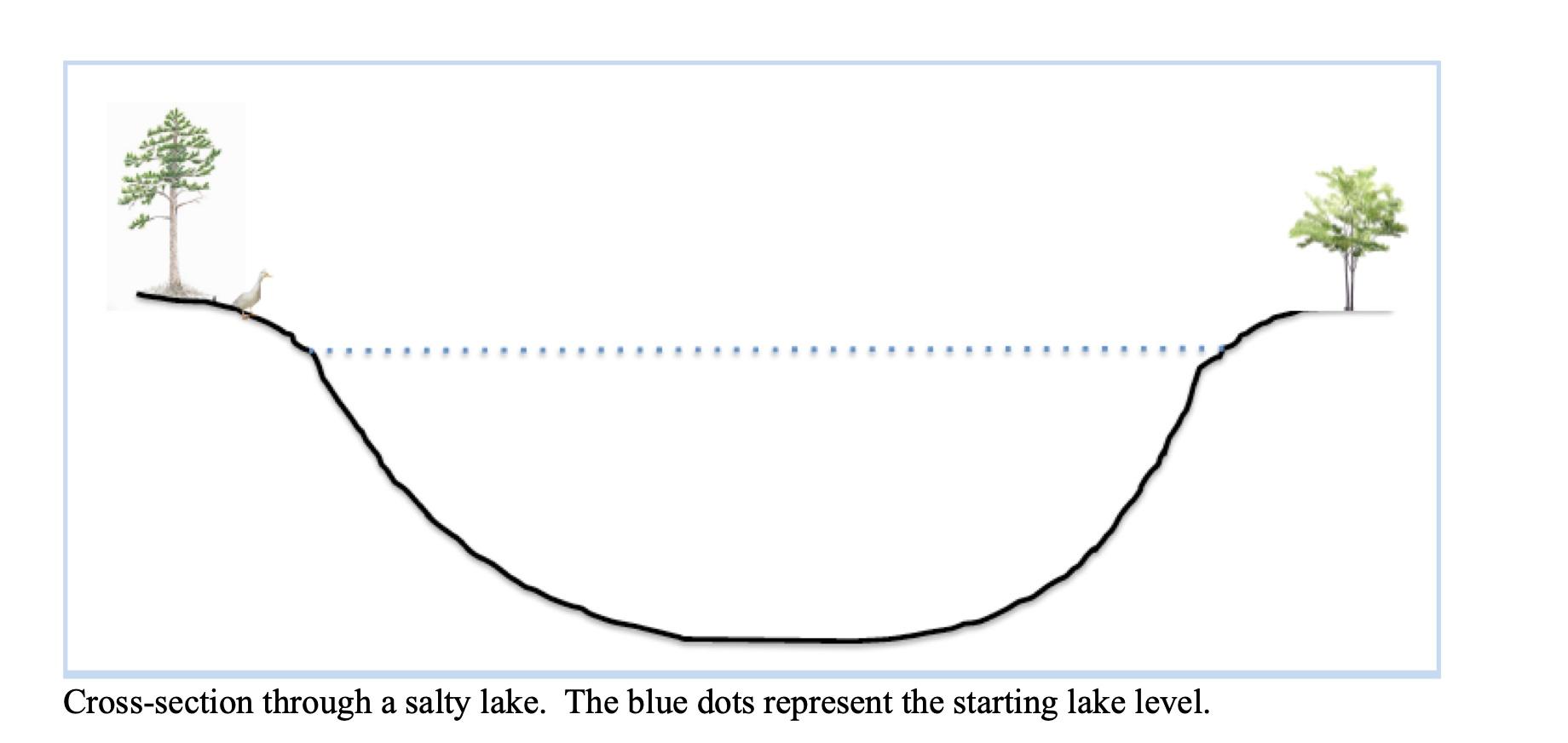 Solved The image on the next page shows a cross-section | Chegg.com