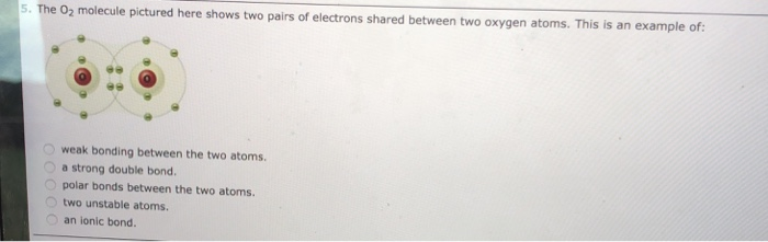 Solved 5.The 02 molecule pictured here shows two pairs of | Chegg.com