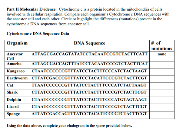 Solved none Part II Molecular Evidence: Cytochrome c is a | Chegg.com
