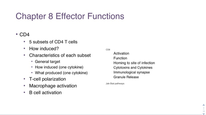 Solved Chapter 8 Effector Functions CD4 .5 subsets of CD4 T | Chegg.com