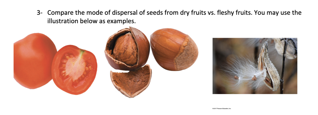 Solved Compare the mode of dispersal of seeds from dry | Chegg.com