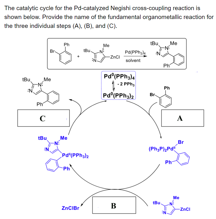 Solved The catalytic cycle for the Pd-catalyzed Negishi | Chegg.com