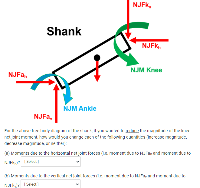 Solved For the above free body diagram of the shank, if you | Chegg.com