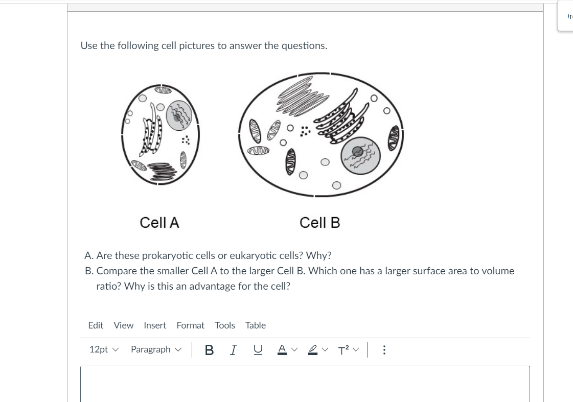 Solved or Use the following cell pictures to answer the | Chegg.com