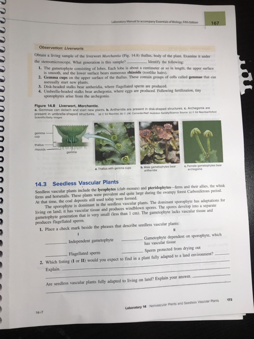 Solved Contemporary Biological Problems Lab 14.1 The | Chegg.com