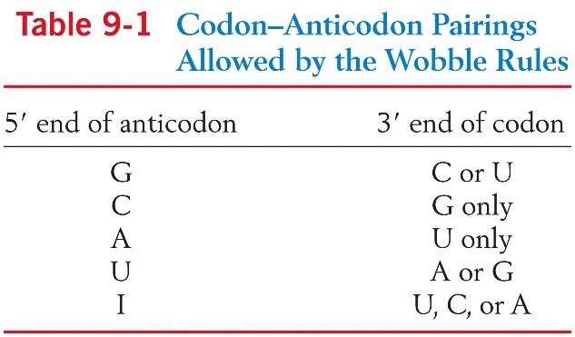Solved Given these wobble rules (but IGNORING Inosine - we | Chegg.com