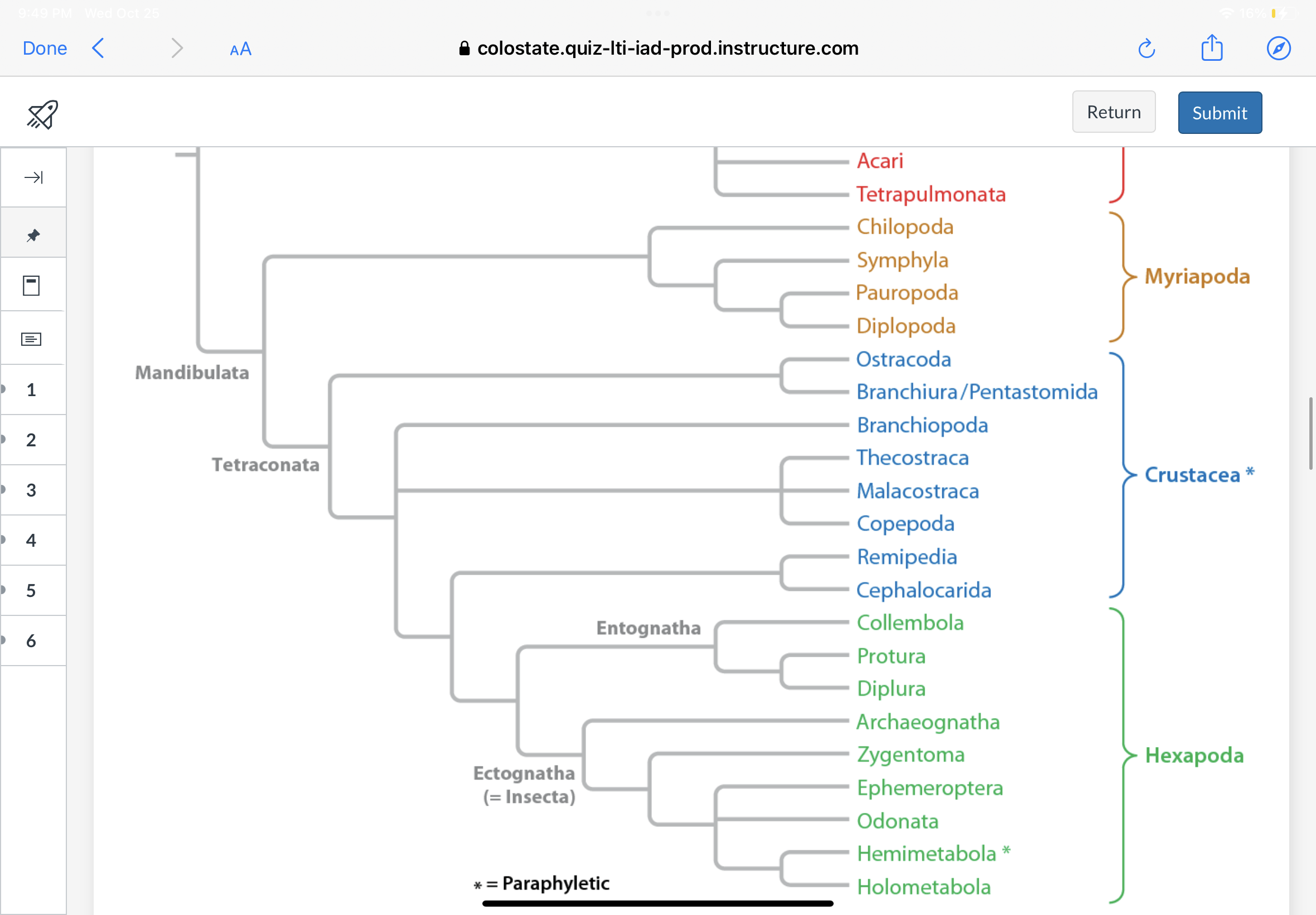Solved 2 points Use the tree below and your previous | Chegg.com