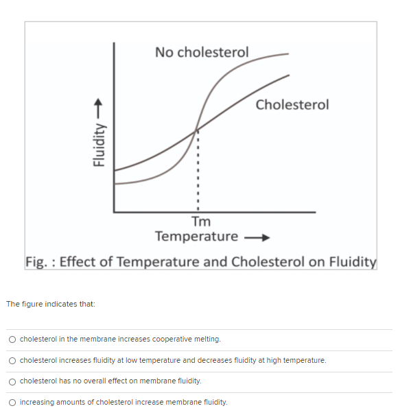 Solved No cholesterol Cholesterol Fluidity Tm Temperature → | Chegg.com