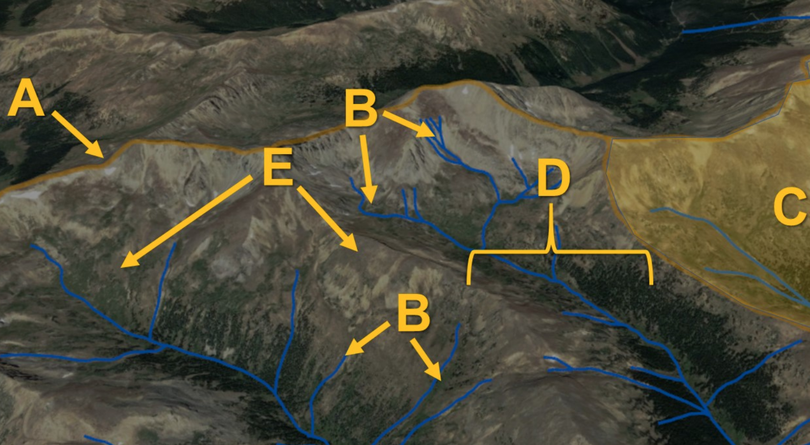 Solved Using complete sentences and in your own words, what | Chegg.com