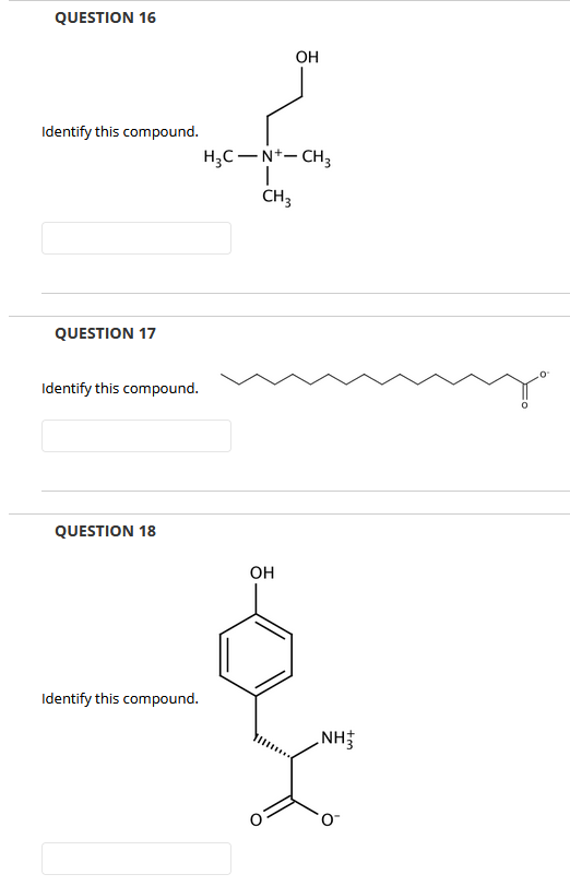 Solved QUESTION 16 OH Identify this compound. H2C-N-CH3 1 | Chegg.com