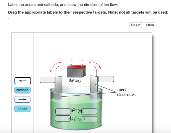Solved Label the anode and cathode, and show the direction | Chegg.com