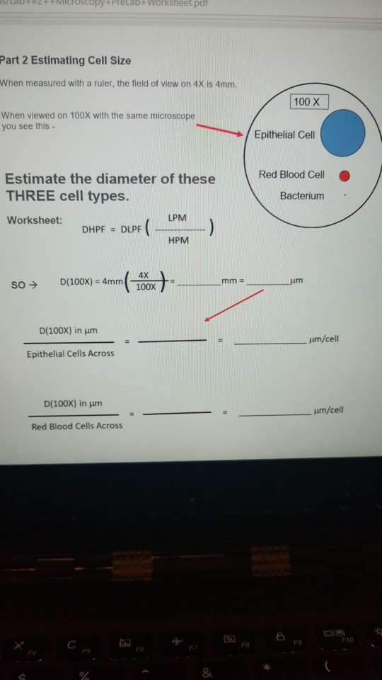 Solved field of view on 4x is 4 mm estimate the diameter of | Chegg.com