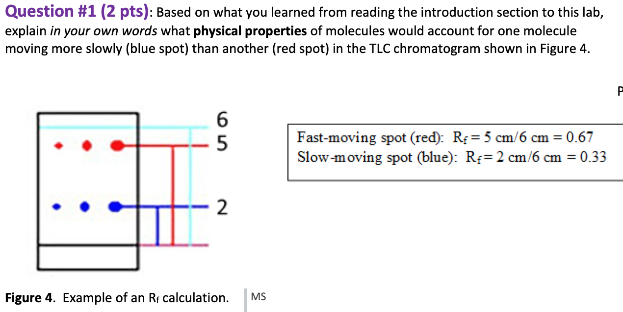 Solved Question #1 (2 pts): Based on what you learned from | Chegg.com
