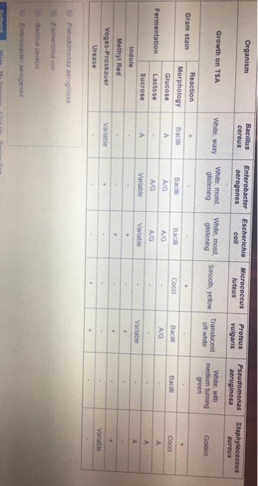 Solved Identify the unknown organism from the following | Chegg.com