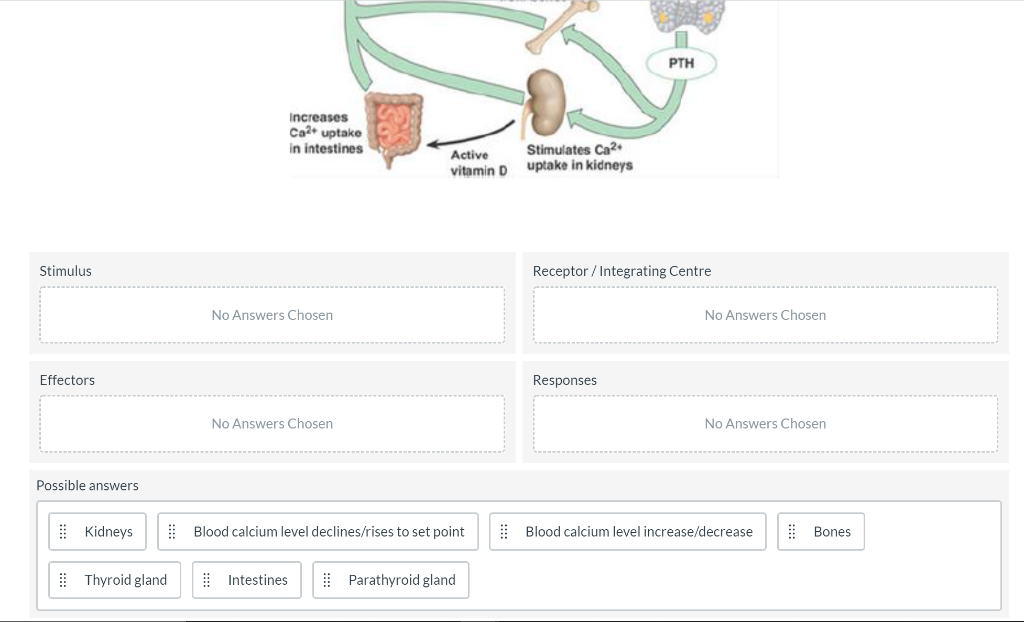 Solved The flowchart below shows the regulation of blood | Chegg.com