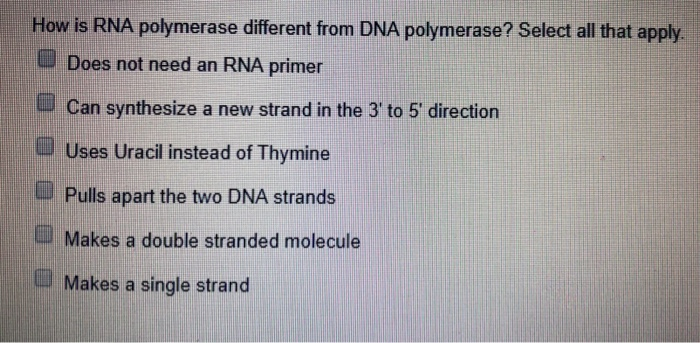 Solved How is RNA polymerase different from DNA polymerase? | Chegg.com