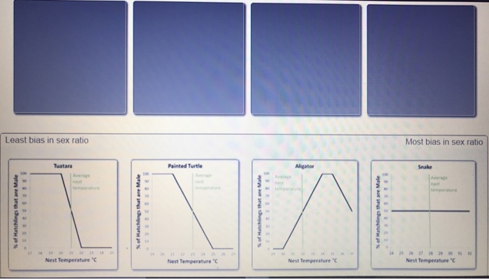 Solved Not All Species Have Temperature Dependent Sex