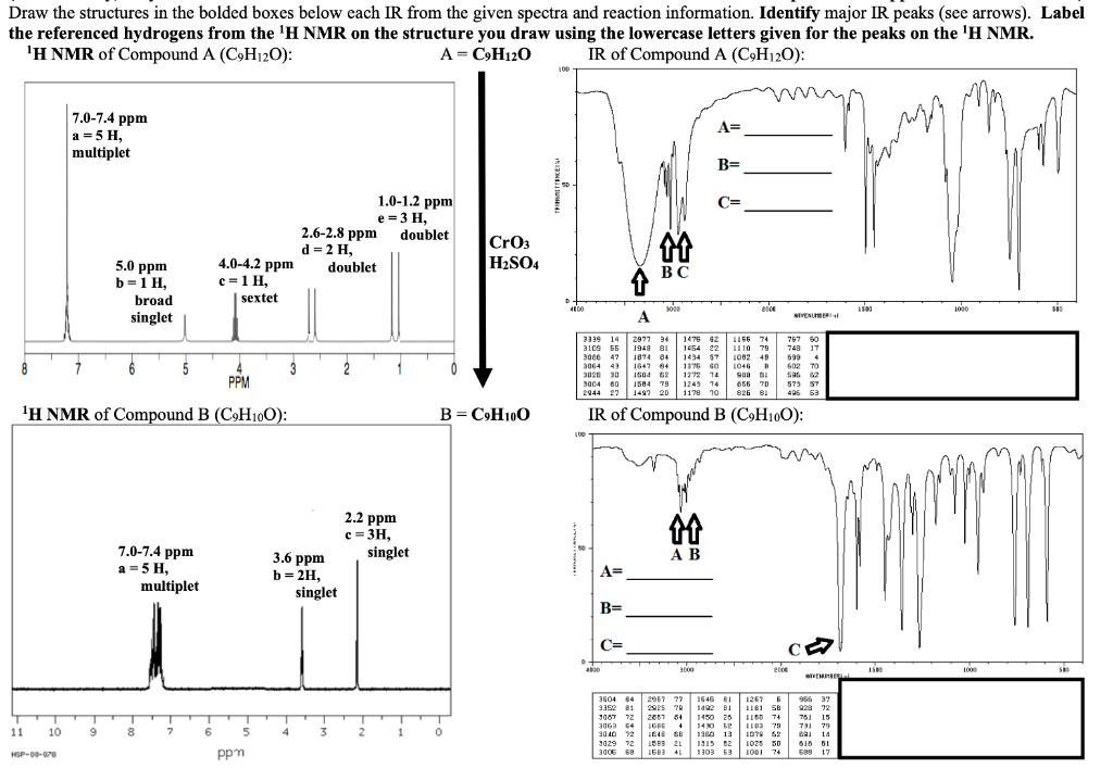 Solved Draw the structures in the bolded boxes below each IR | Chegg.com