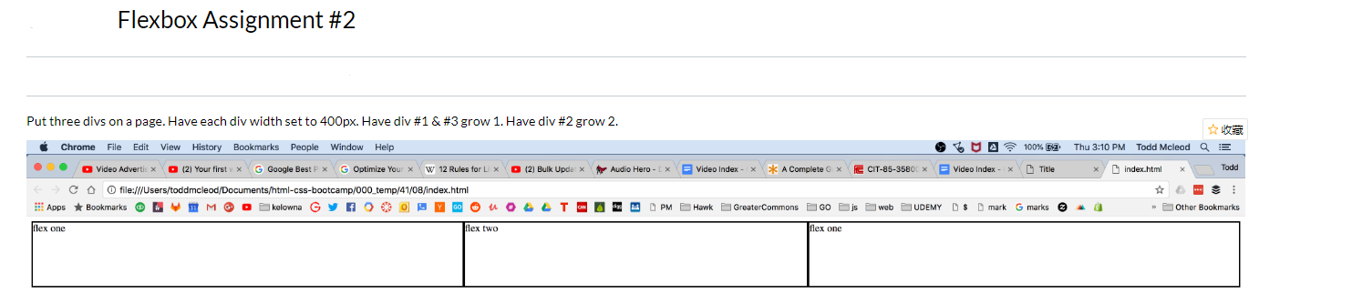 Solved Flexbox Assignment 2 Put Three Divs On A Page Have