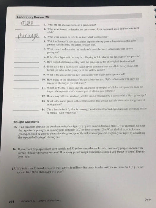 Solved Table 20.2 Color of Corn Kernels Number of Kernels | Chegg.com