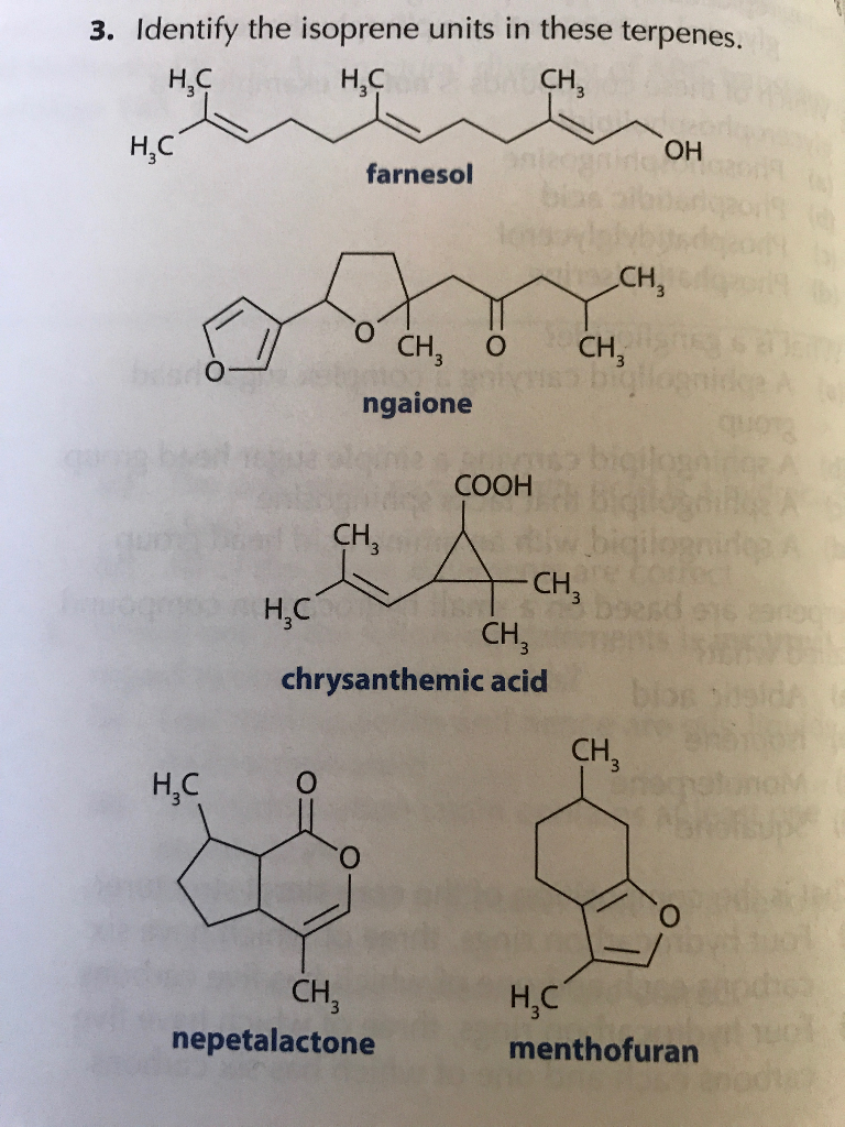 Isoprene Units