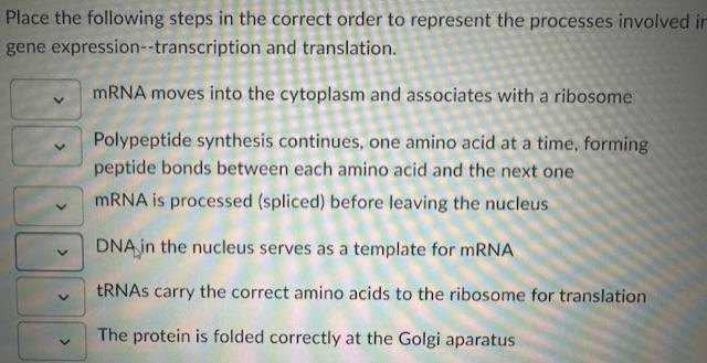 Solved Place the following steps in the correct order to | Chegg.com