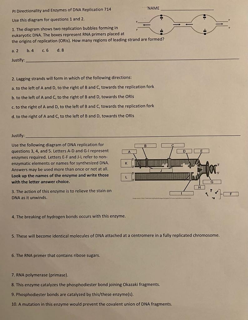 Solved Please answer questions 1-10 with simple | Chegg.com