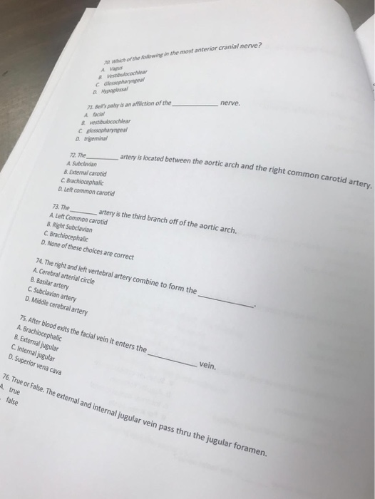 Solved please answer all the questions! | Chegg.com