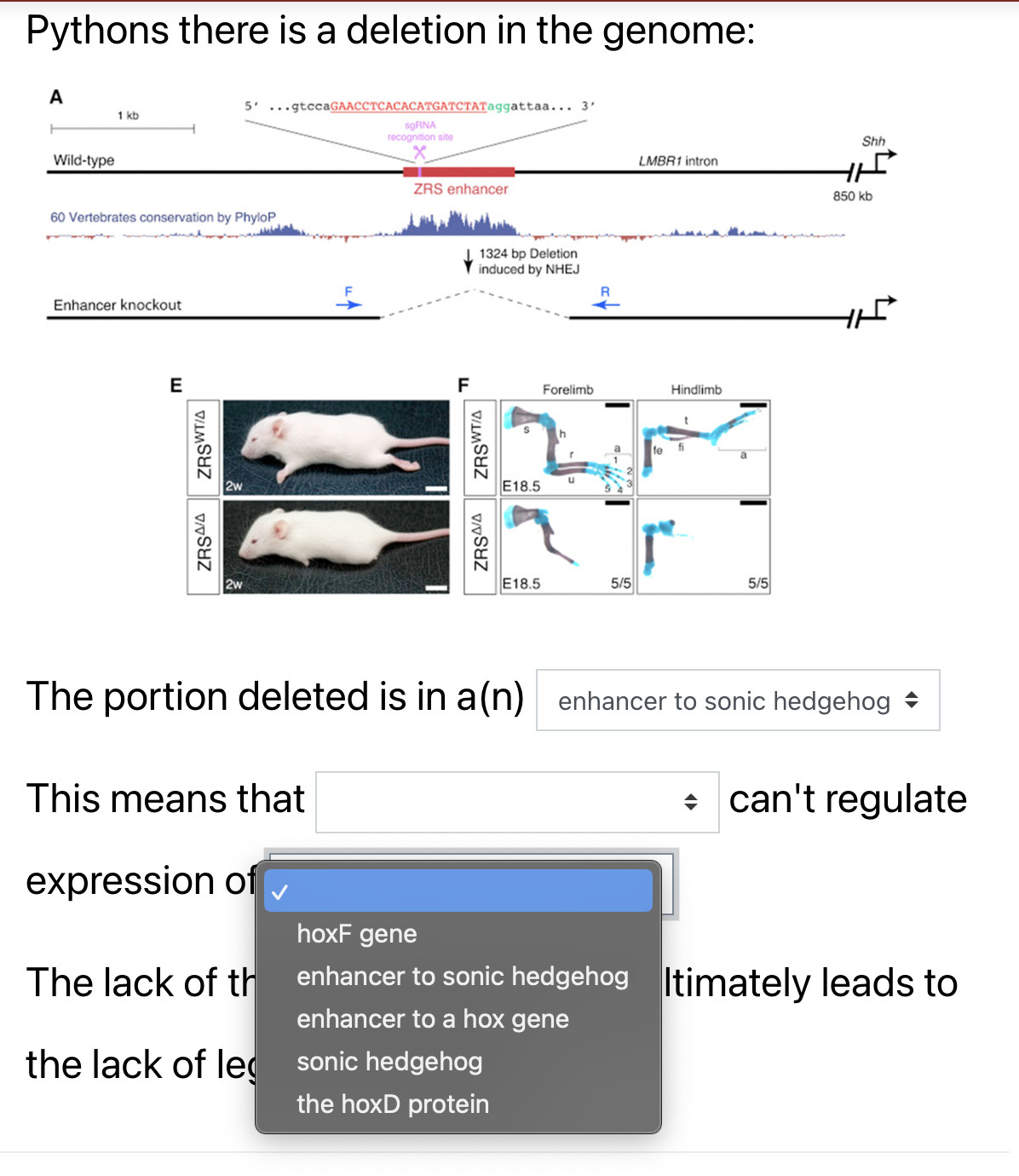 Solved Pythons there is a deletion in the genome: The | Chegg.com