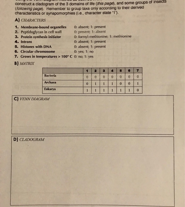 Solved construct a cladogram of the 3 domains of life (this | Chegg.com
