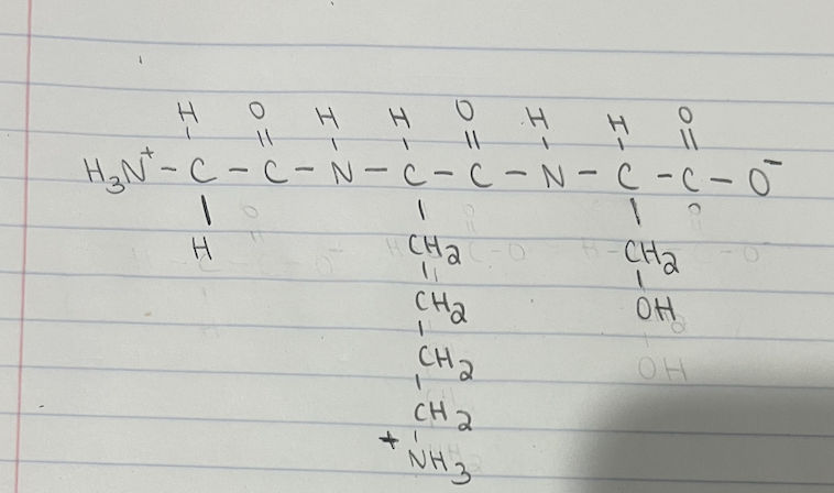 Solved "Draw the complete structure of a tripeptide at | Chegg.com