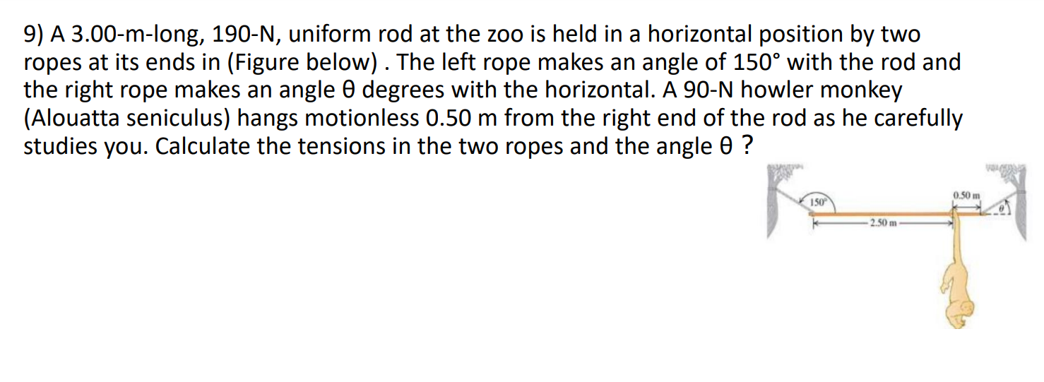 Solved 9) A 3.00-m-long, 190-N, uniform rod at the zoo is | Chegg.com