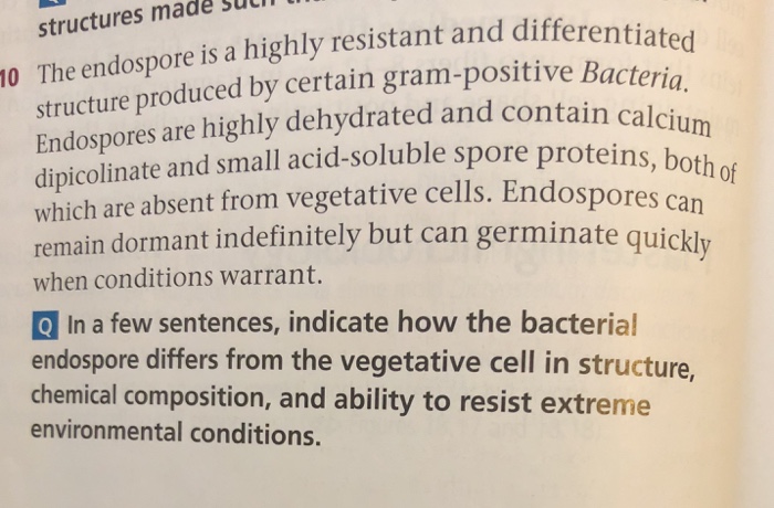 Solved structures made sull 10 The endospore is a highly | Chegg.com