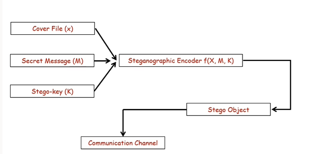 what if we want to make the steganographic process | Chegg.com